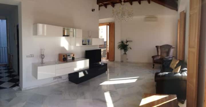 Luxury Attic Old Town Valencia - Valencia