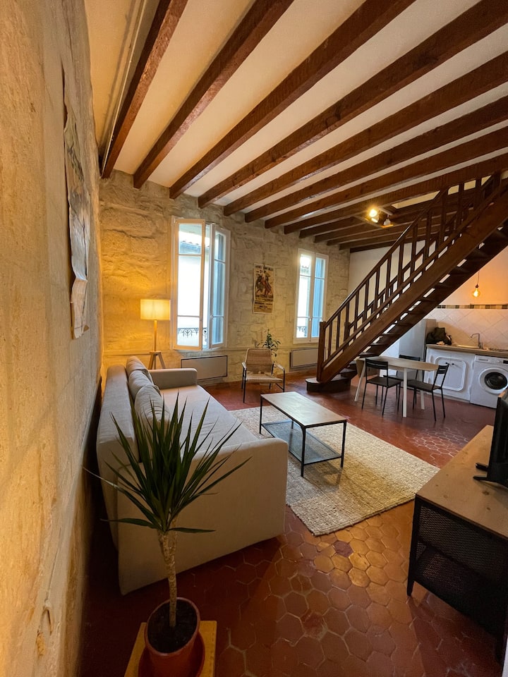 Duplex Arles Place Du Forum - Arles