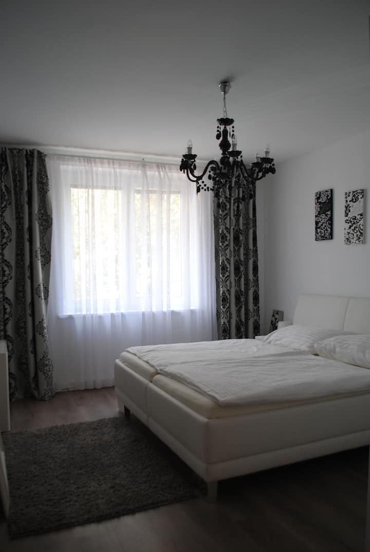 Sunny And Elegant Apartament In Central Location - Graz