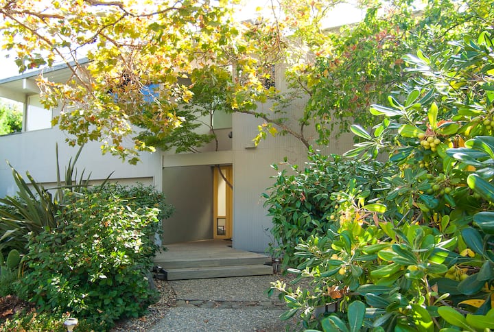Huge  7b/4b House+  Office/baby Room - Mountain View, CA