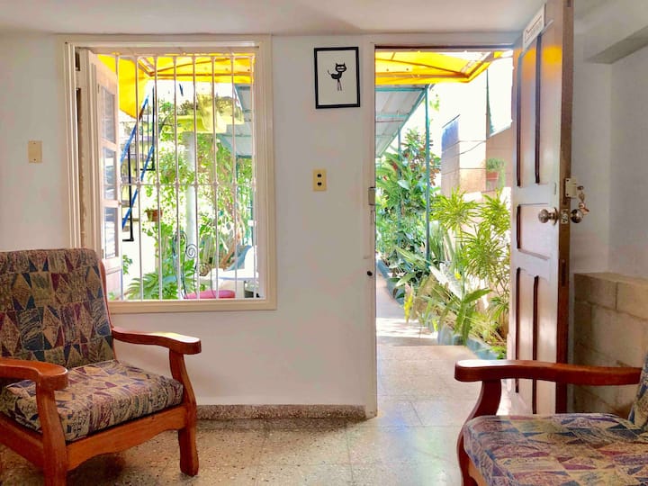 Comfy & Cozy Apartment In Vedado/havana - Havana