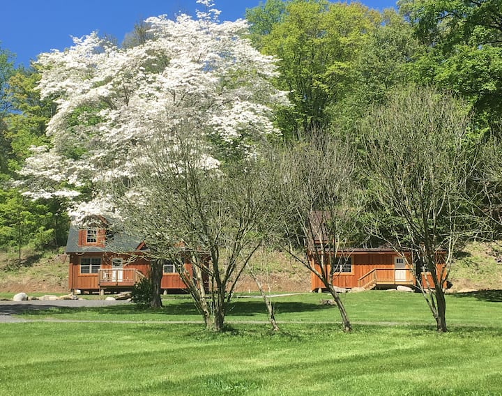 These Two New Houses - Dutchess County, NY