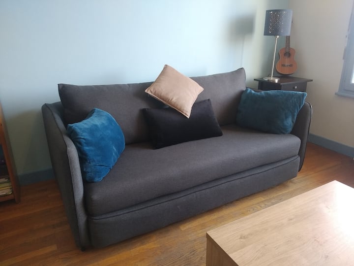 Agréable T2 Lumineux Et Spacieux - Annecy