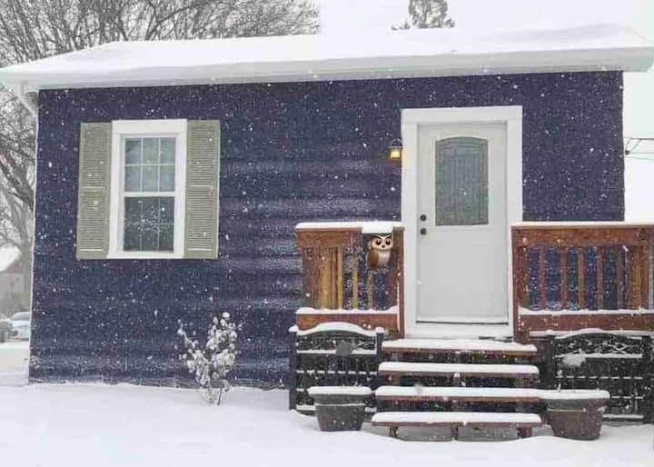 Snug Owl Cottage - Starved Rock Area/dog Friendly - イリノイ州