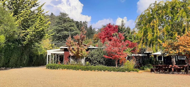 12 Bedroom Guesthouse - Bright