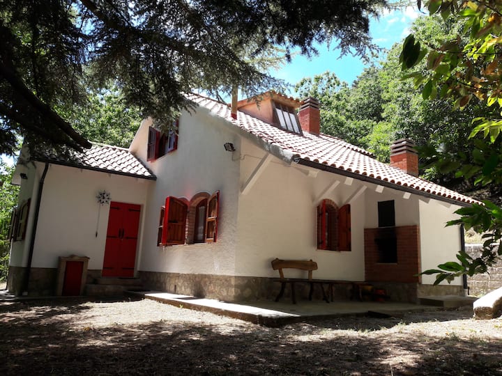 Pratanella: In Toscana Deliziosa Baita Nel Bosco. - Toskana