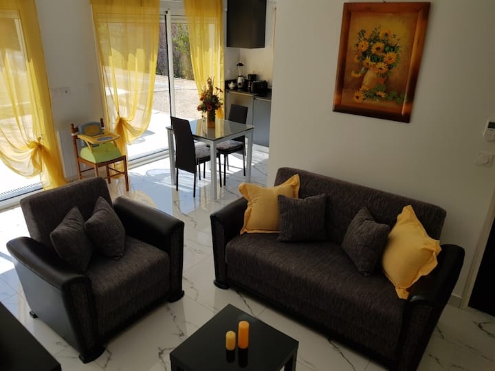 Petite Maison Neuve Tout Confort Classée 3 éToiles - Amboise