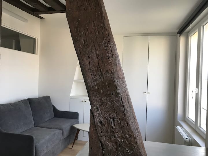 Cozy Studio With A View In Chatelet Les Halles - 巴黎