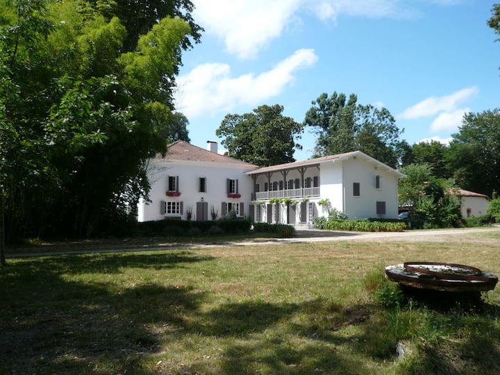 Vaste Demeure Familiale Landaise Dans Parc Boisé - Mont-de-Marsan