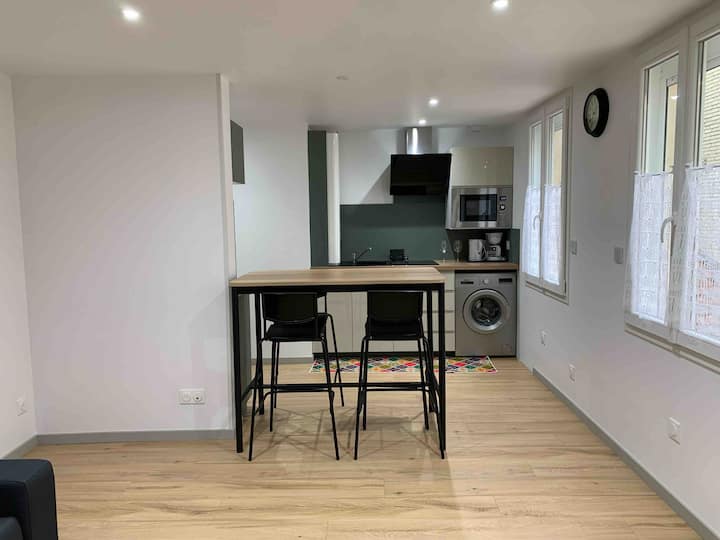 Appartement Gare/roosevelt F2 Climatisé Garage - Reims