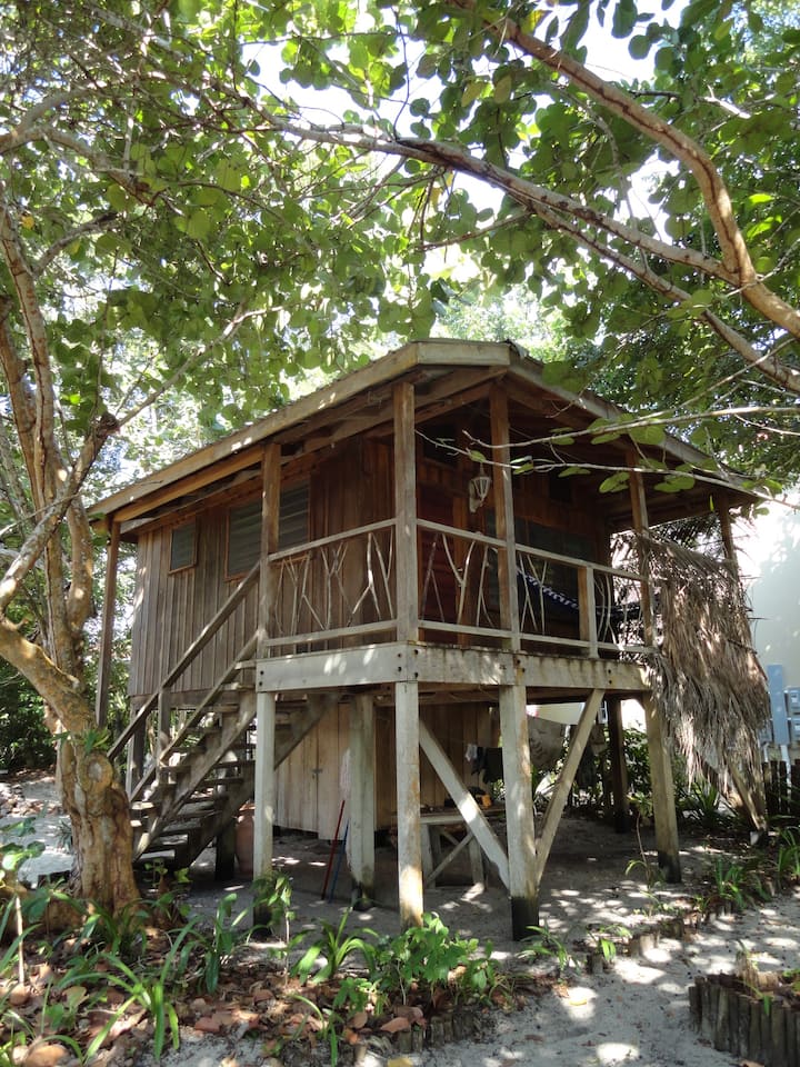 Finca Placencia Beachfront Treetop Cabana - Placencia