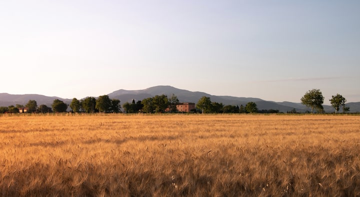Il Pescinone Tra Mare E Campagna - Oleandro - Suvereto