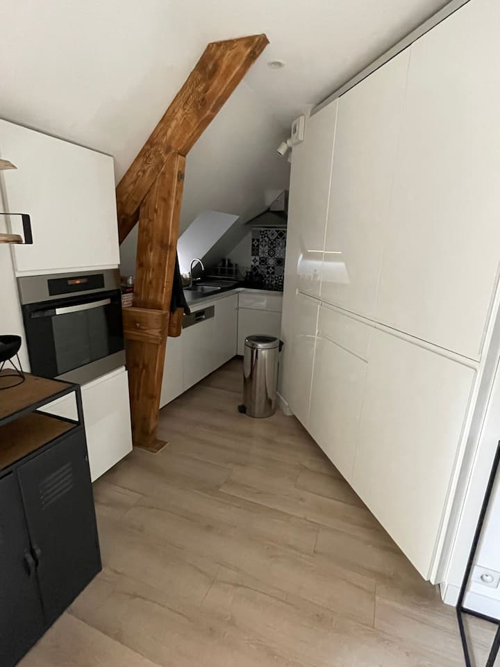 Proche Orly Et Paris, Appartement  Coup De Cœur ! - Athis-Mons