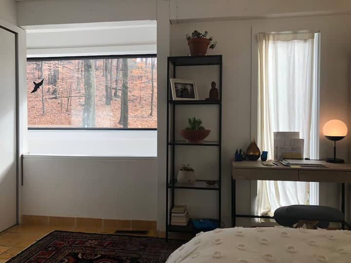 Pound Ridge Modern - Long Island, NY