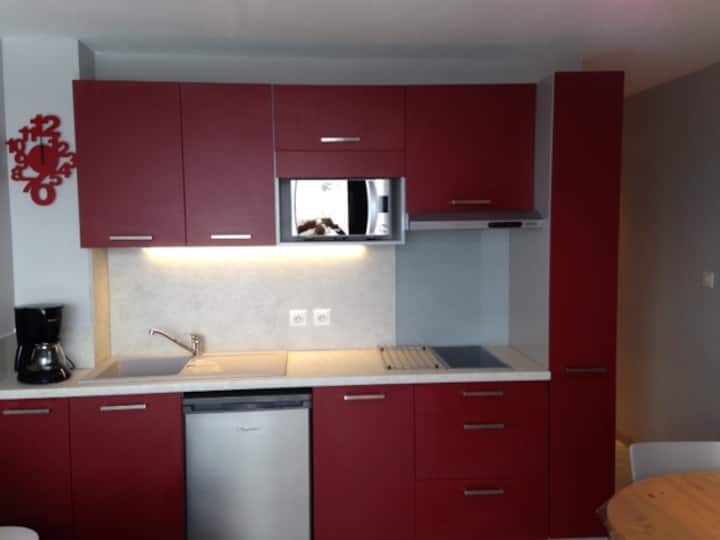 Appartement Situe Sur Les Pistes - Piau Engaly