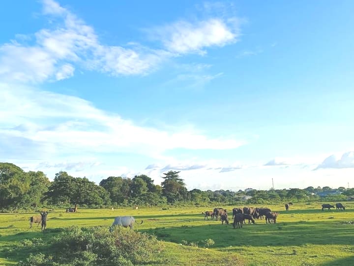 Cozy Two Bedrooms Bungalow - Meycauayan