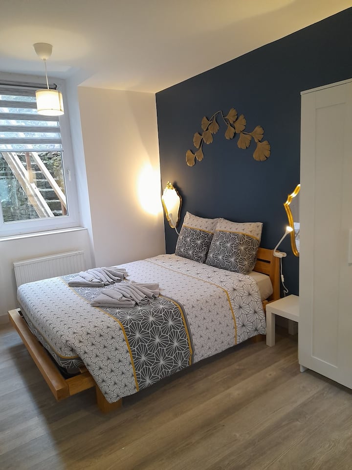 Lannion (5) Côte De Granit Roseappart Face Gare - Lannion