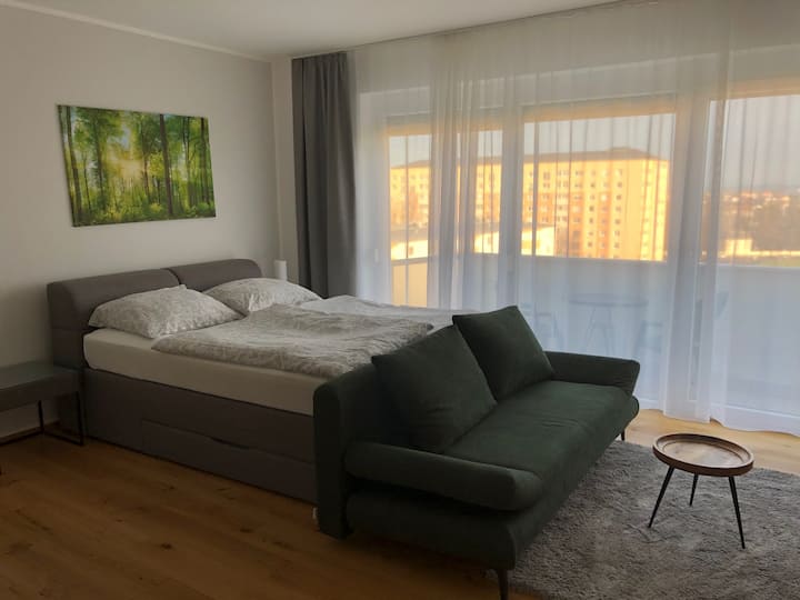 Apartment With A View From The 8th Floor - Wels