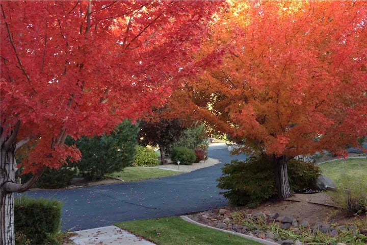 Lovely Contemporary Executive Home - Reno, NV