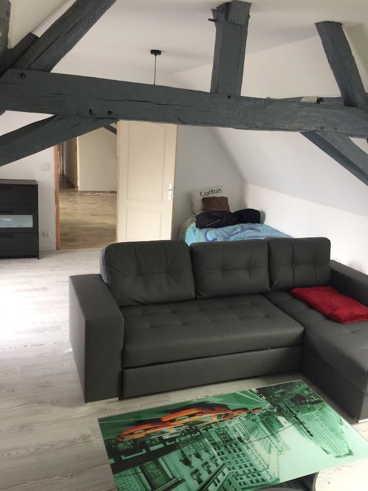 Longère Les Chevreuils Proche Zoo Beauval - Saint-Aignan-sur-Cher