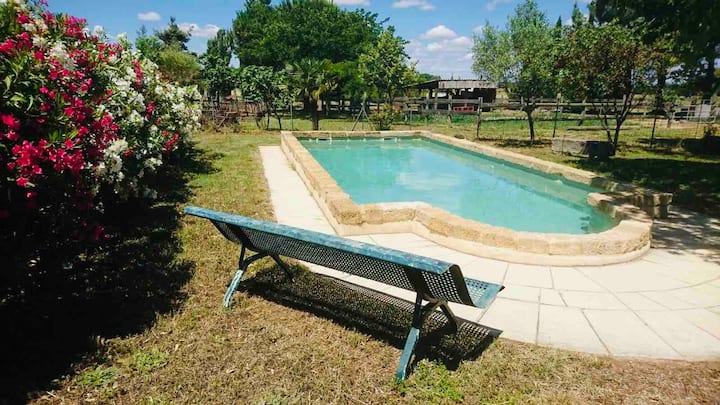 Gîte Rural En Petite Camargue Avec Piscine - Vauvert