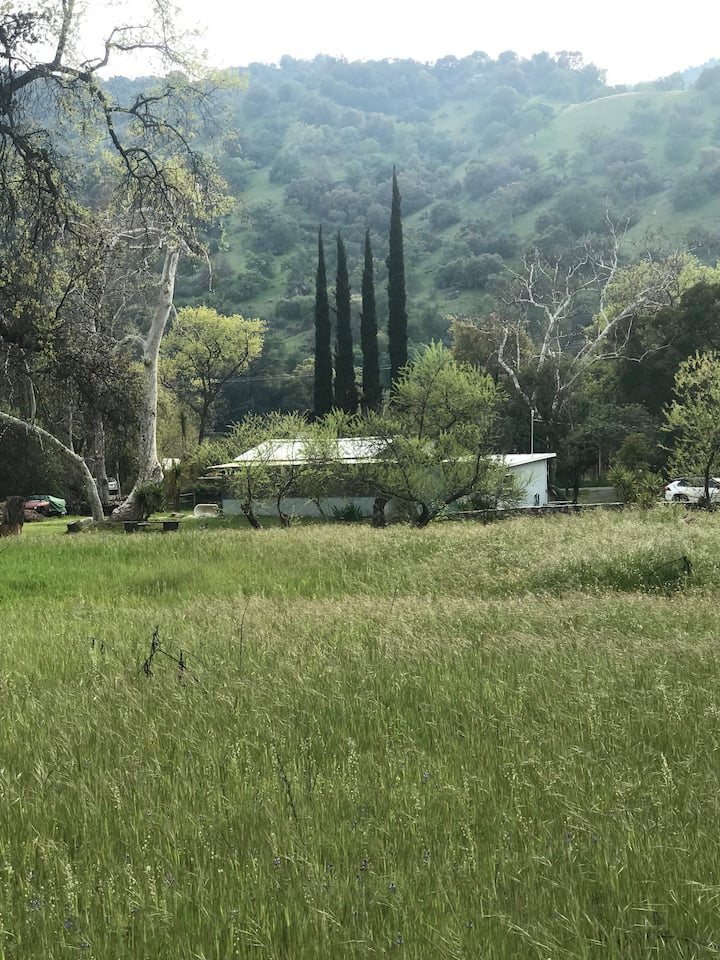 Log Ness Guest House - Sequoia National Park