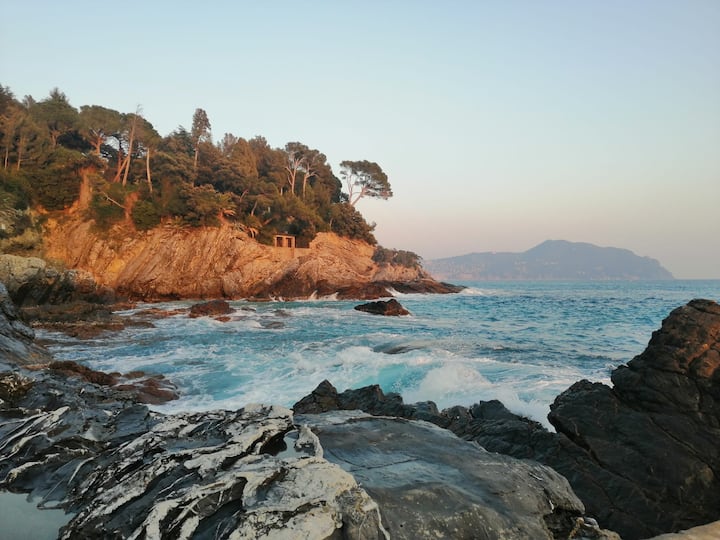 Bomboniera Vista Mare A Bogliasco  010004-lt-0081 - Bogliasco