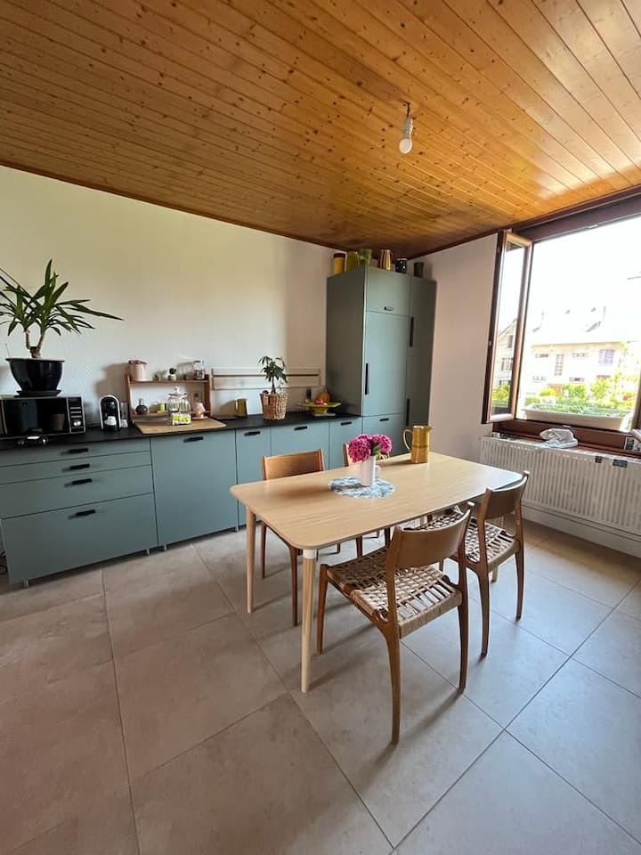 Charmant Appartement Proche Du Centre - Annecy