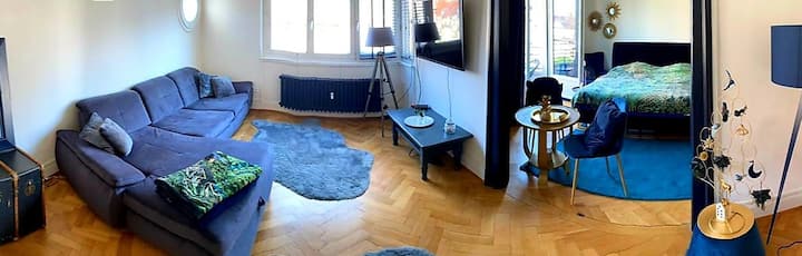 Orangerie District, 2-3 Rooms, Ideal For 4 People (Exceptionally Up To 6) - Strasbourg