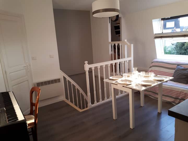 Appartement Lumineux Quartier Calme Centre Ville - Tours