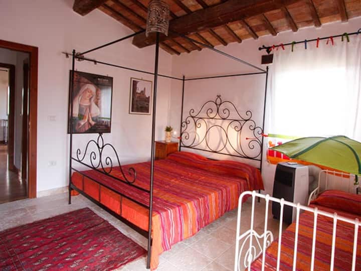 Anice Studio Standard Rate - Cupra Marittima