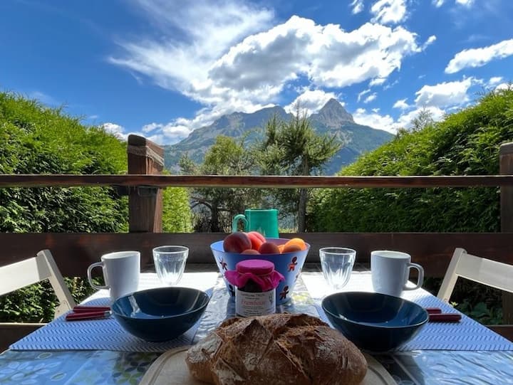 Grand T1, Jardin, Vue Montagne, Pra-loup 1500 - Pra-Loup
