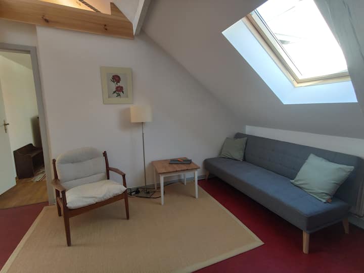 Viel Platz Im Herzen Schwerins - Schwerin