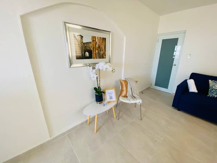 Luna Nueva / Tesla Solar / No Blackouts - Puerto Rico