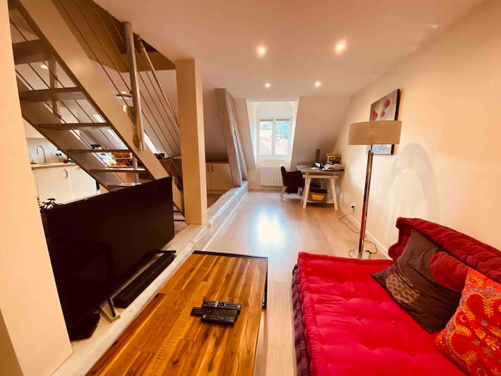 Charming Duplex In Heart Of Annecy - Annecy