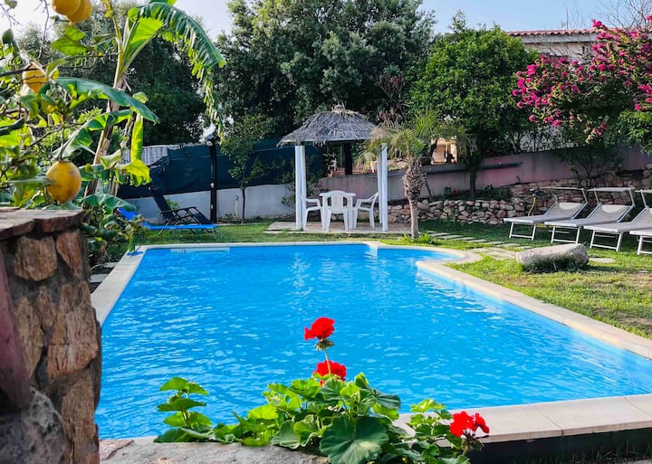 Villa With Swimming Pool Coast Quartu-villasimius - Quartu Sant'Elena