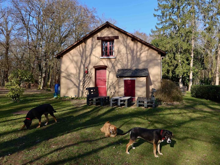 Chambre D'hôtes à La Faisanderie - Cher
