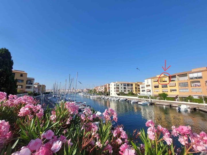 Capnomad Côté Port Studio Terrasse,piscine,parking - Agde