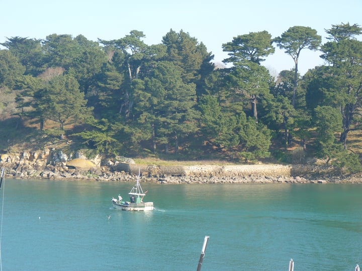 Vue Sur Mer Unique, T3 Lumineux - Douarnenez