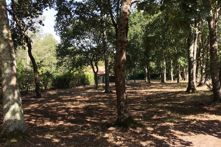 Place De Camping, Emplacement 5 - Dax