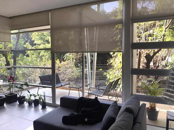 Apt Condesa 2 Bds 1 Std & Terraza Best Location. - Mexico City
