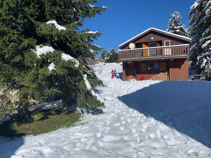 Accueillant Chalet Dans Les Hauteurs De Guzet - Guzet-Neige