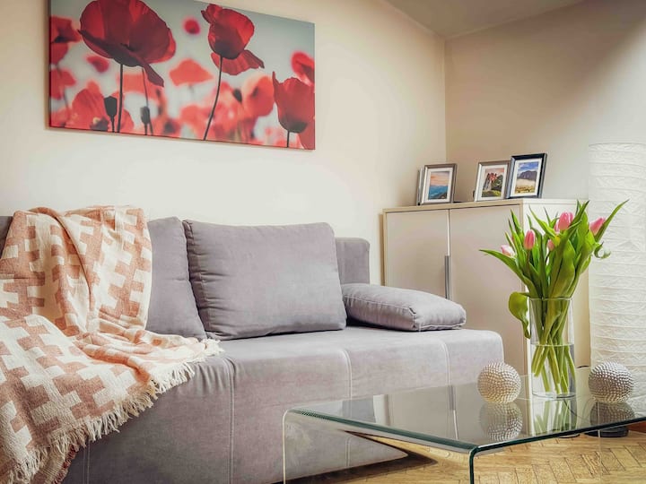 Apartment Prague -Sunny Flat With Air Conditioning - Praag