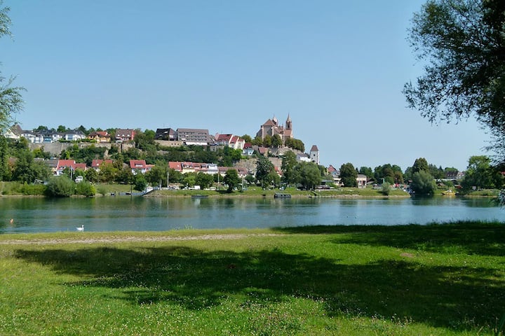 Casa Móvil 6 Personas En Biesheim - Breisach