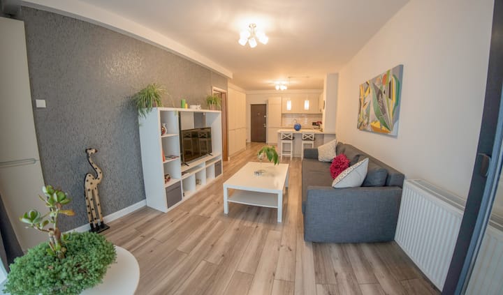 Clujnapocacityrentals-home - Cluj-Napoca