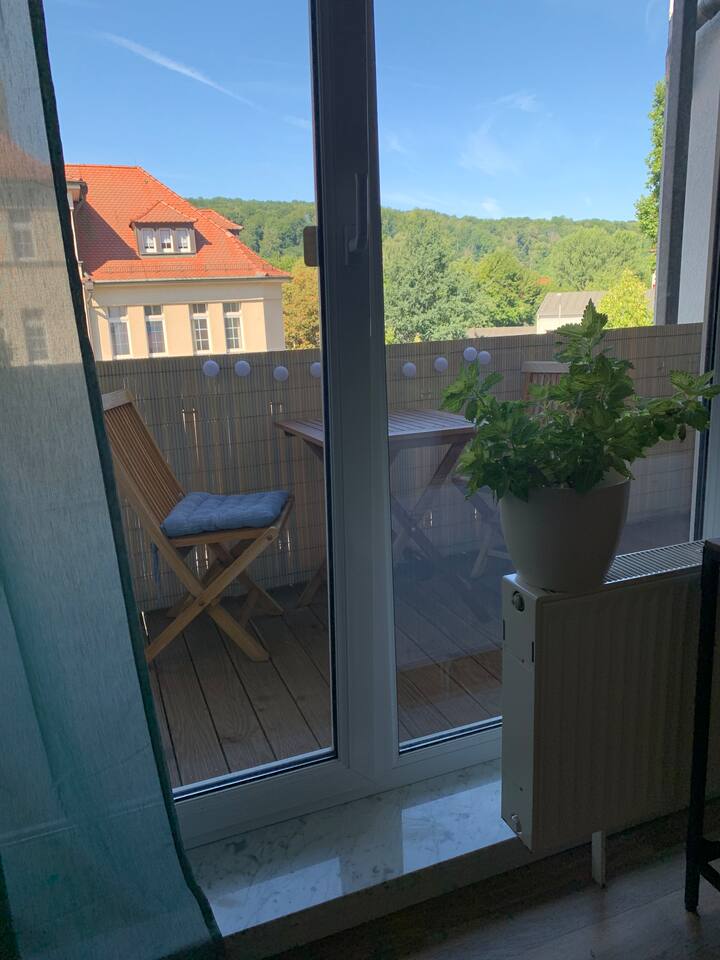 Zentral | Balkon | Wlan | Tiefgarage | Fahrstuhl - Gera