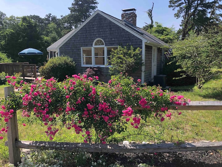 Quintessential Cape Cottage 3br - Harwich, MA
