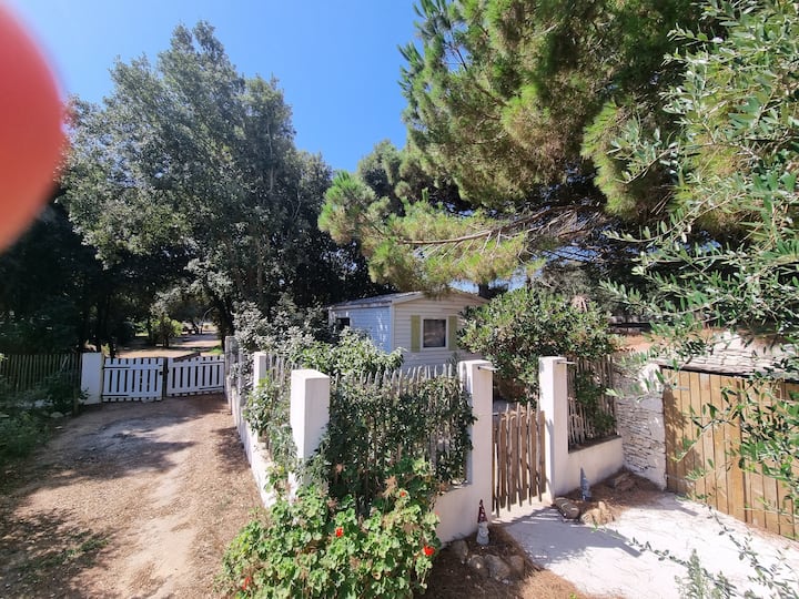 Logement à La Campagne 3km De La Ville - Bonifacio