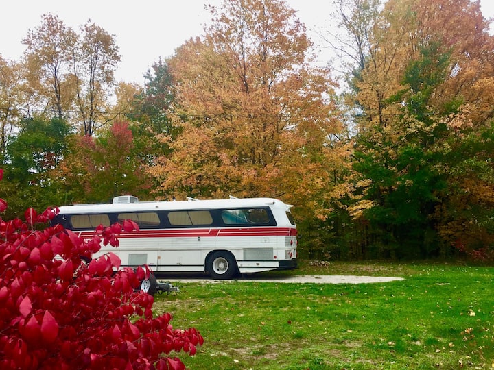 Secluded Frankfort Campsite(#1) - Frankfort, MI