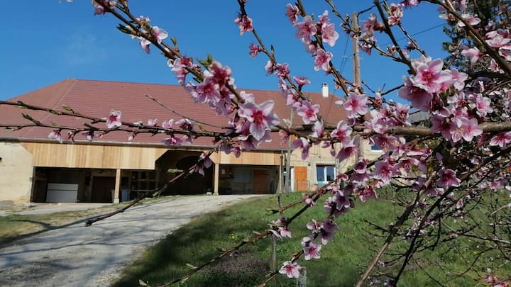 Gîte Pleine Nature Jura 8 Personnes - Château-Chalon